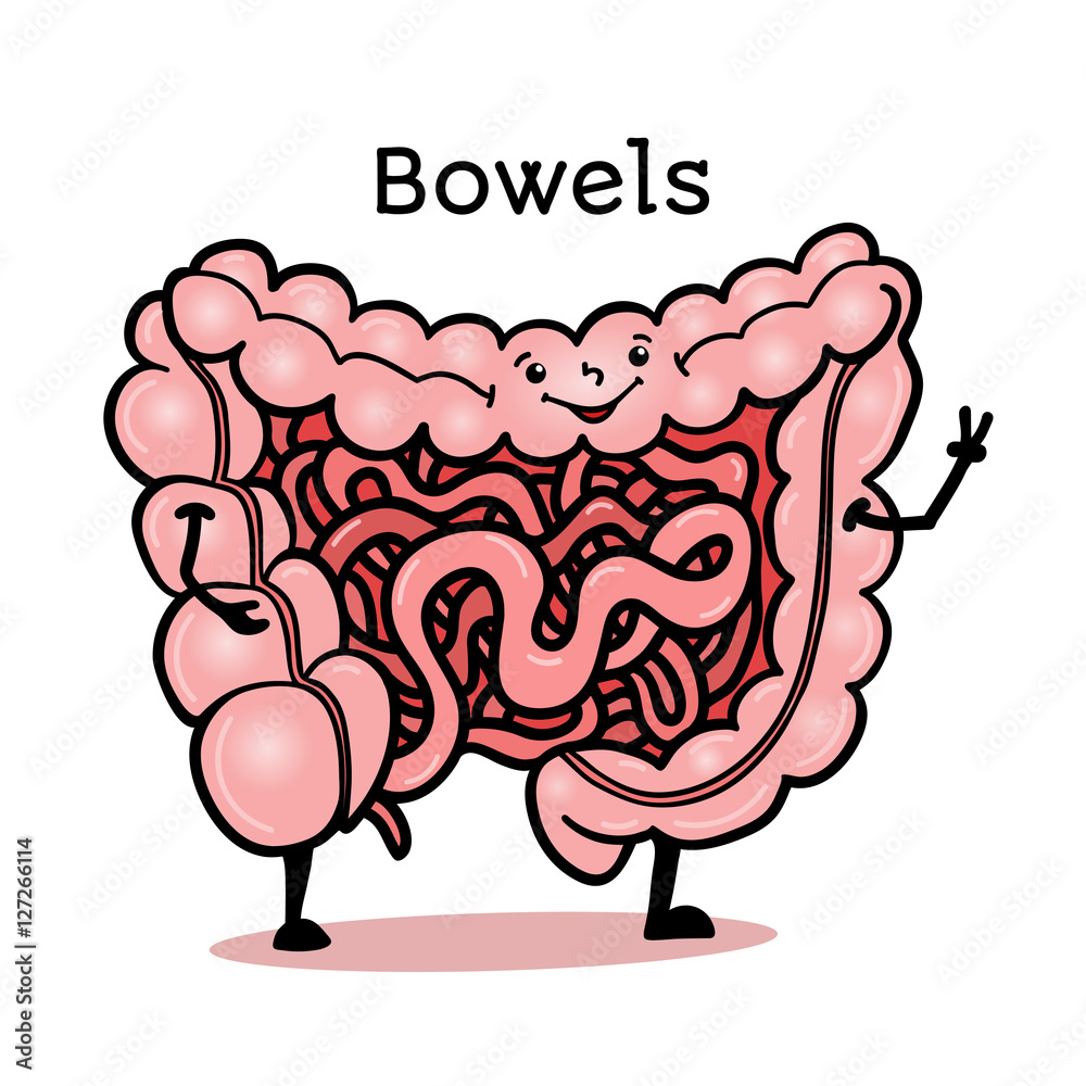 Cute and funny human guts, bowels, intestines character, cartoon vector ...