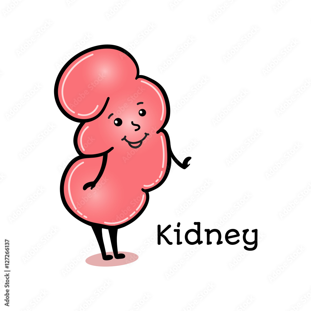 Cute and funny human kidney character, cartoon vector illustration ...