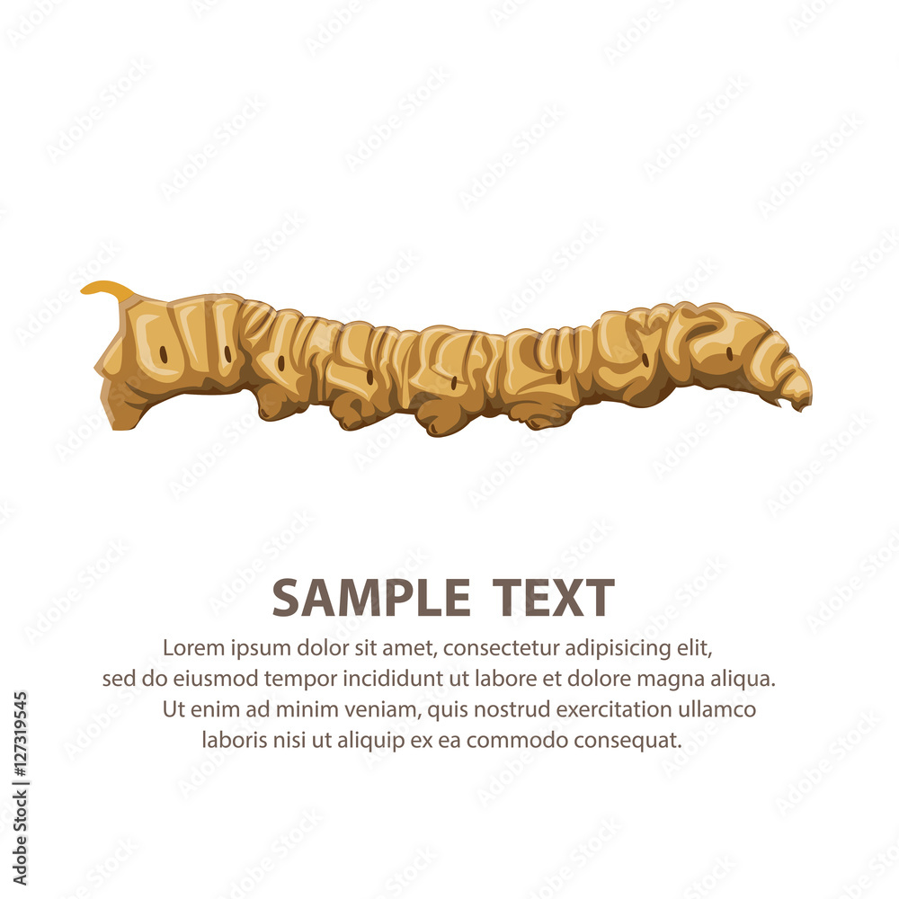Big Brown worm, Giant Brown worm. illustration,vector Stock Vector ...