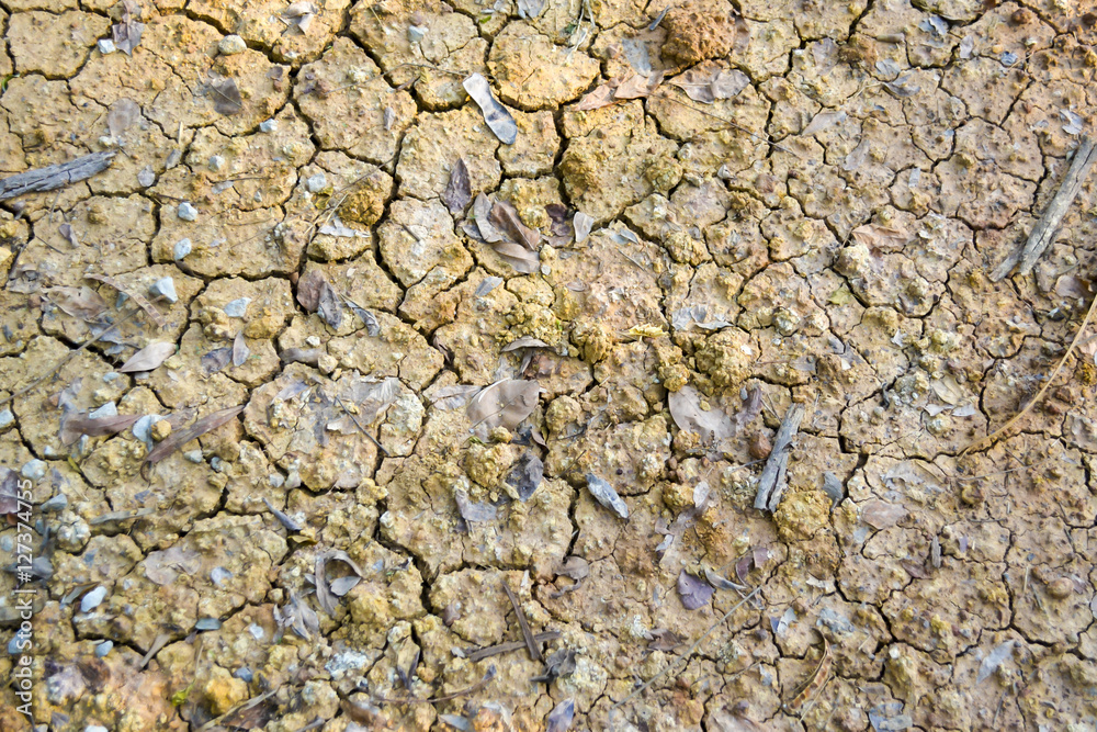 soil background or texture. Stock Photo | Adobe Stock