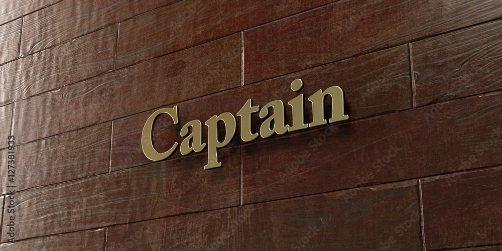 Captain - Bronze plaque mounted on maple wood wall - 3D rendered ...