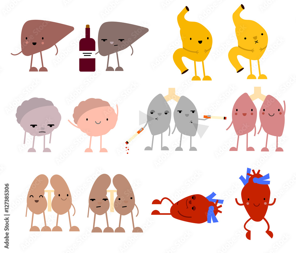 Collection of cartoon internal cute human organs. Vector illustration ...