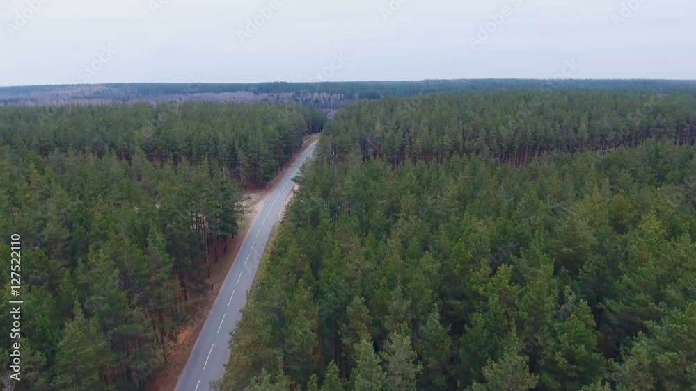 Dense forest with swamp and high voltage power lines. Aerial top view ...