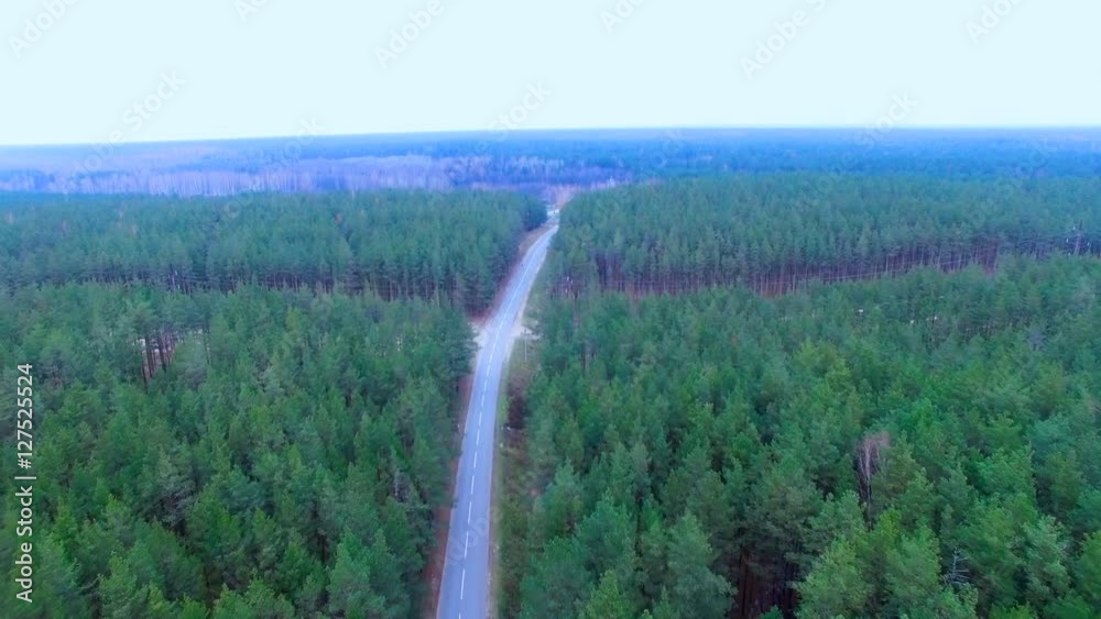 Dense forest with swamp and high voltage power lines. Aerial top view ...