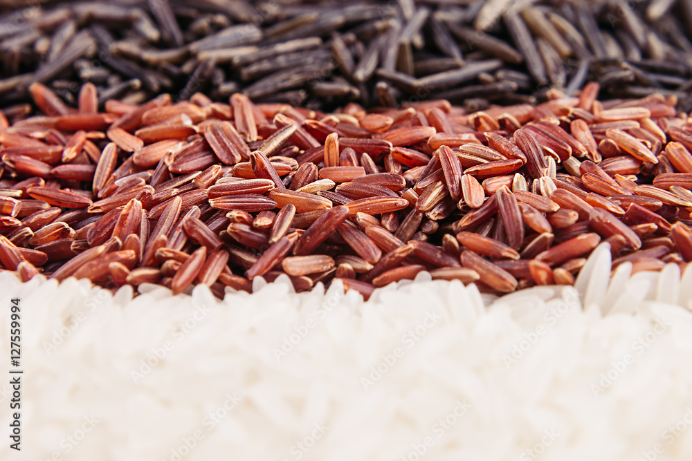 Strips of red, black and white rice close-up. Rice texture background ...