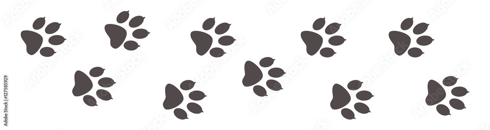 Paw prints, animal tracks on a white isolated background. Steps animal ...