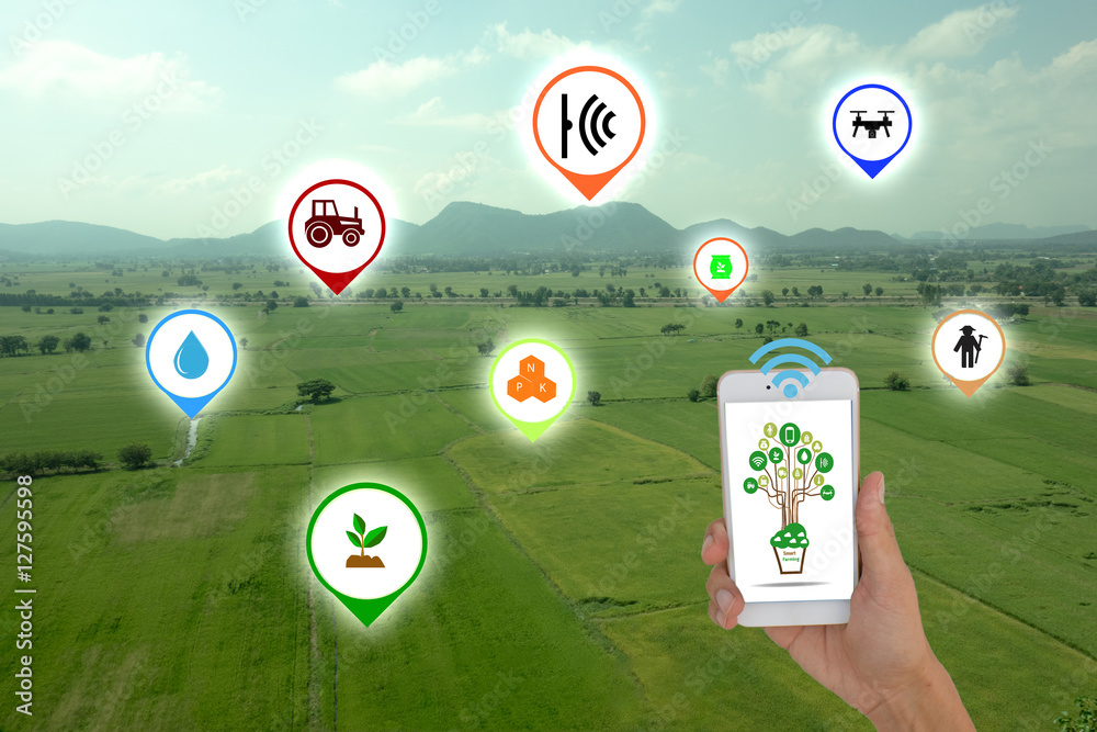Internet of things(agriculture concept),smart farming, smart ...