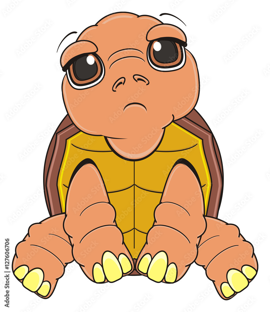 sit, sad, animal, pet, cartoon, brown, tortoise, slow, armor, amphibian ...