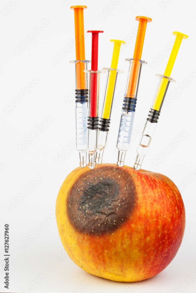Moldy apple. Injection into red apple - Concept for Genetically ...