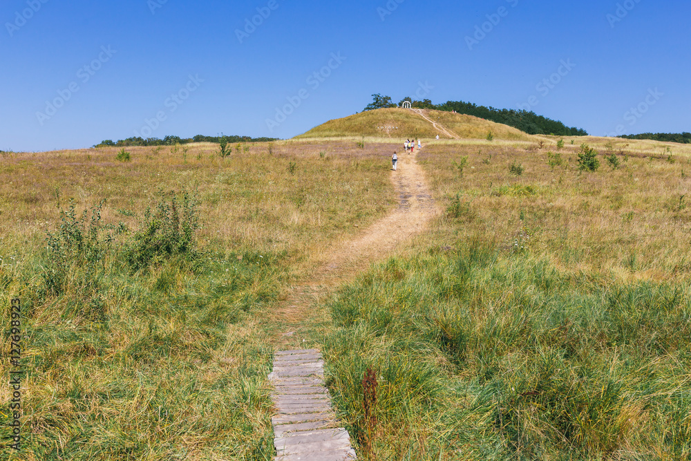 hill in field Stock Photo | Adobe Stock