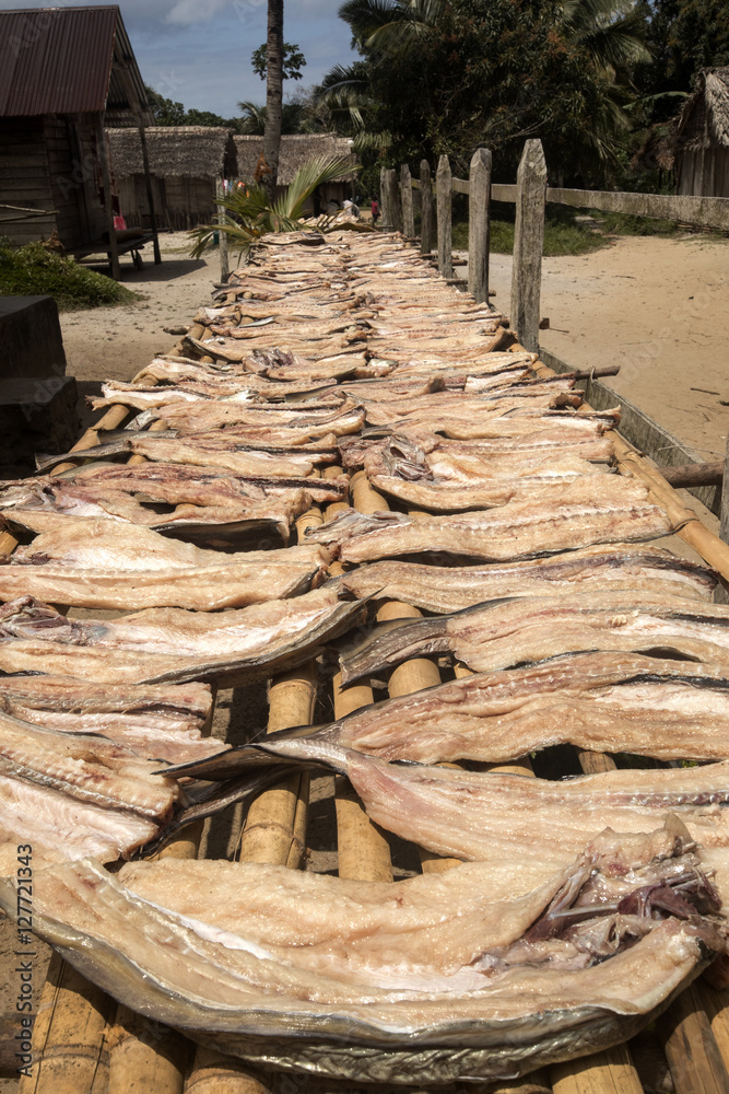 drying fish in the sun, Madagascar Stock Photo | Adobe Stock