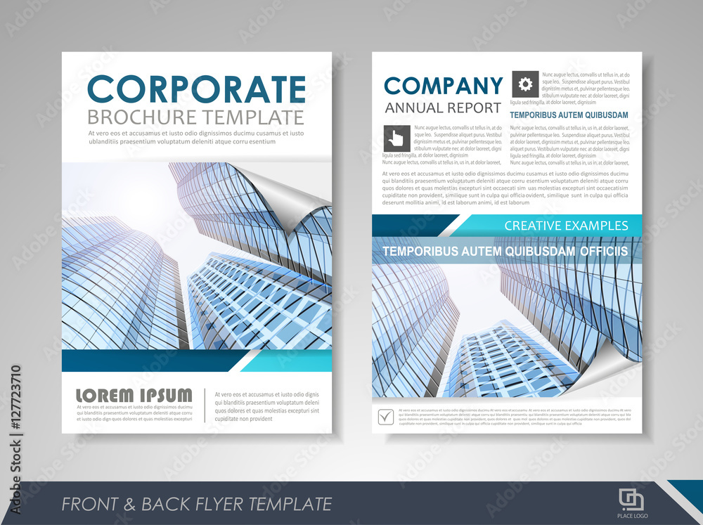 Flyer design layout Stock Vector | Adobe Stock