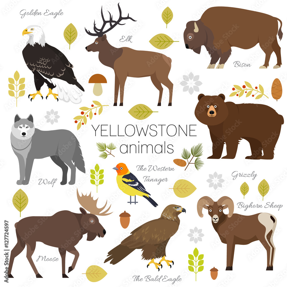 Yellowstone National Park animals set grizzly, moose, elk, bear, wolf ...