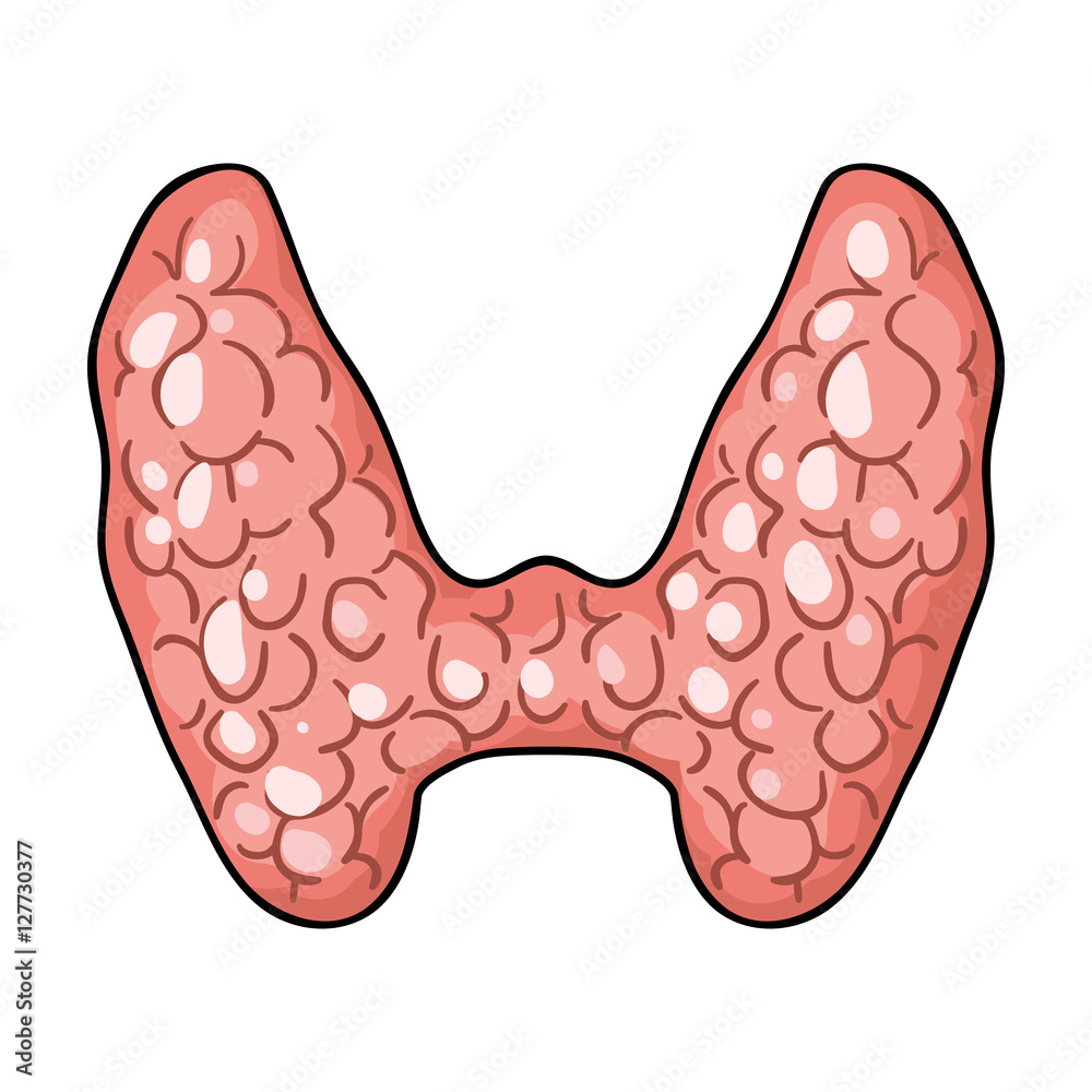 Human thyroid icon in cartoon style isolated on white background. Human ...