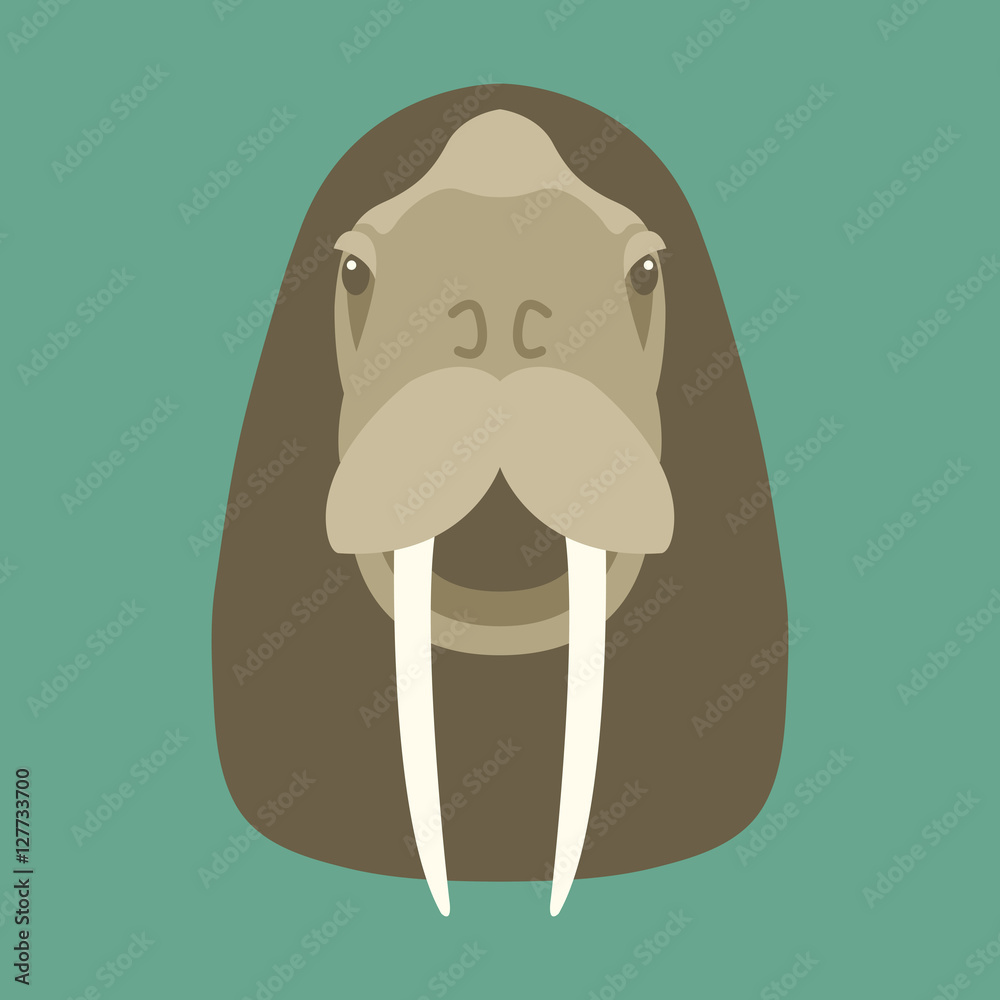 walrus head vector illustration style flat Stock Vector | Adobe Stock
