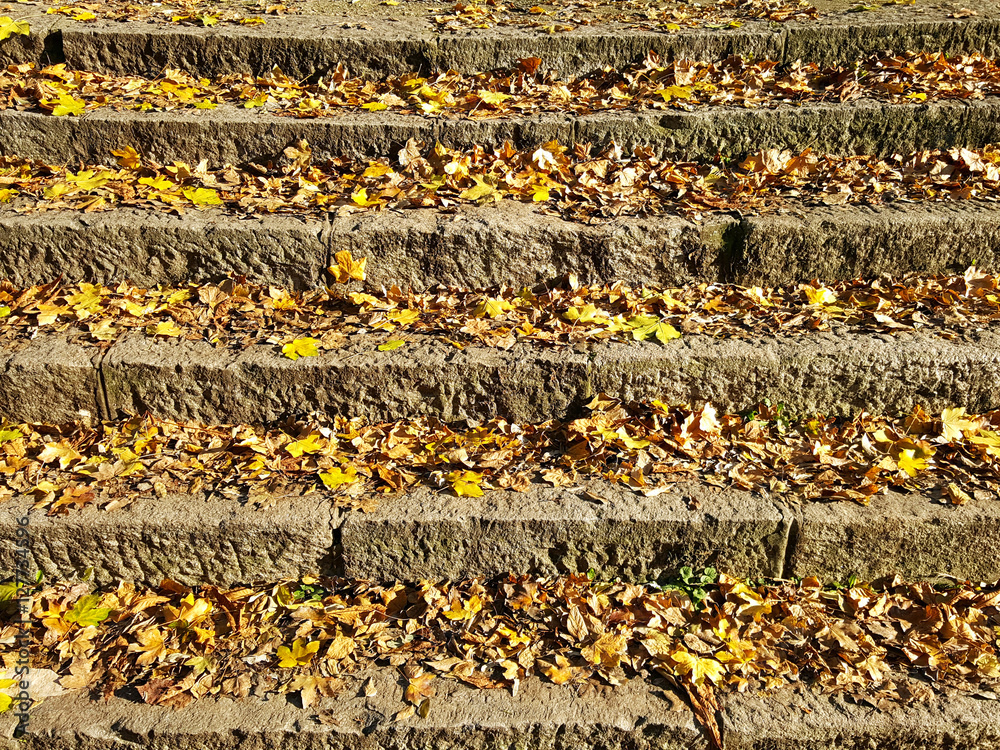 Staircase with fallen leaves autumn season Stock Photo | Adobe Stock
