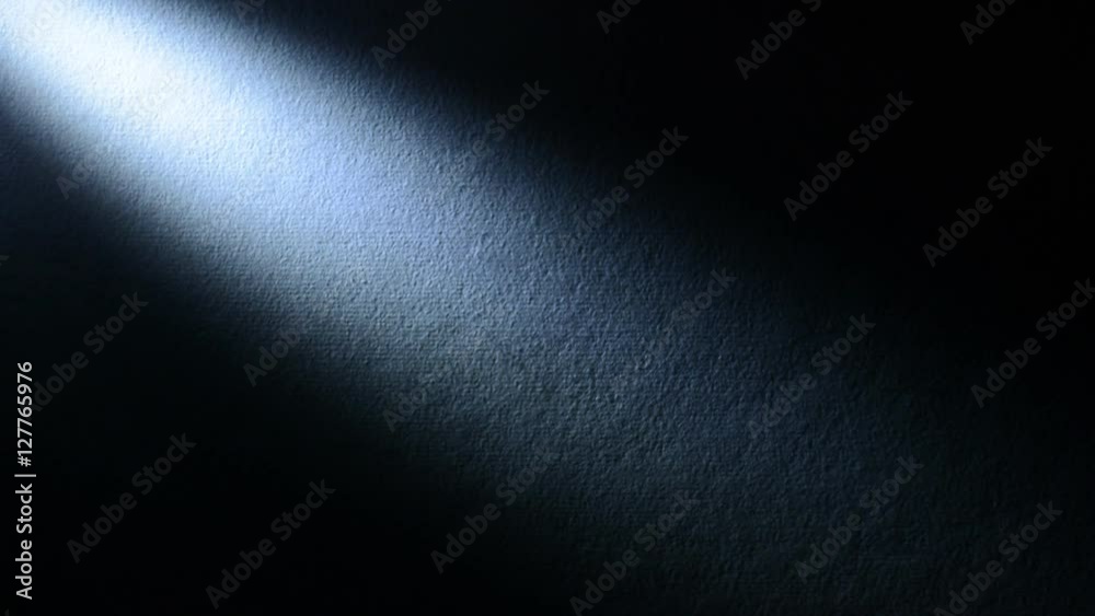Lighting spotlight ture leaf dark background. A spotlight illuminates ...