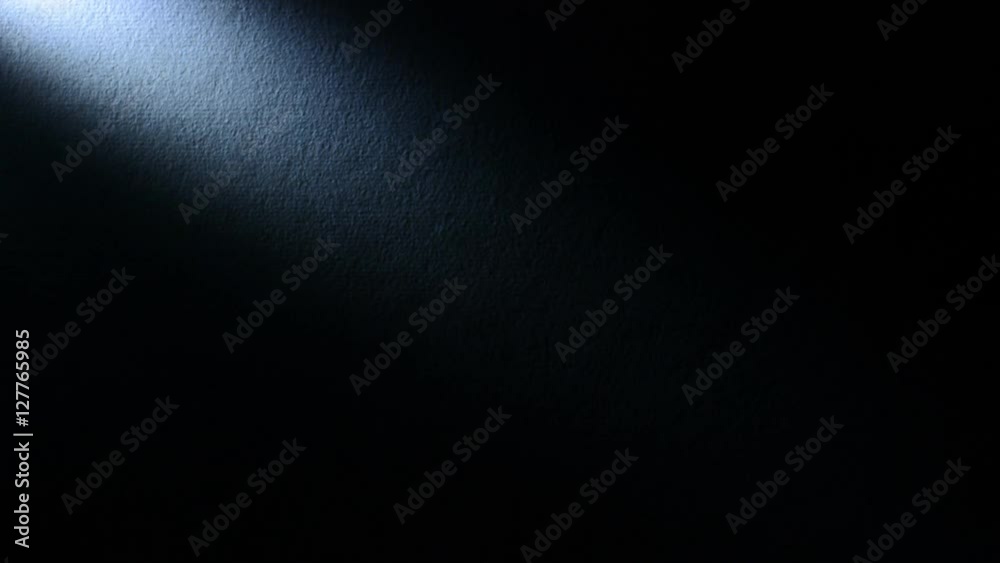 Lighting spotlight ture leaf dark background. A spotlight illuminates ...