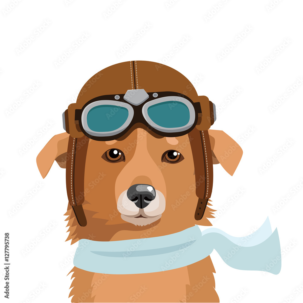 Cute Dog Pilot Isolated In White Background Vector Illustration ...