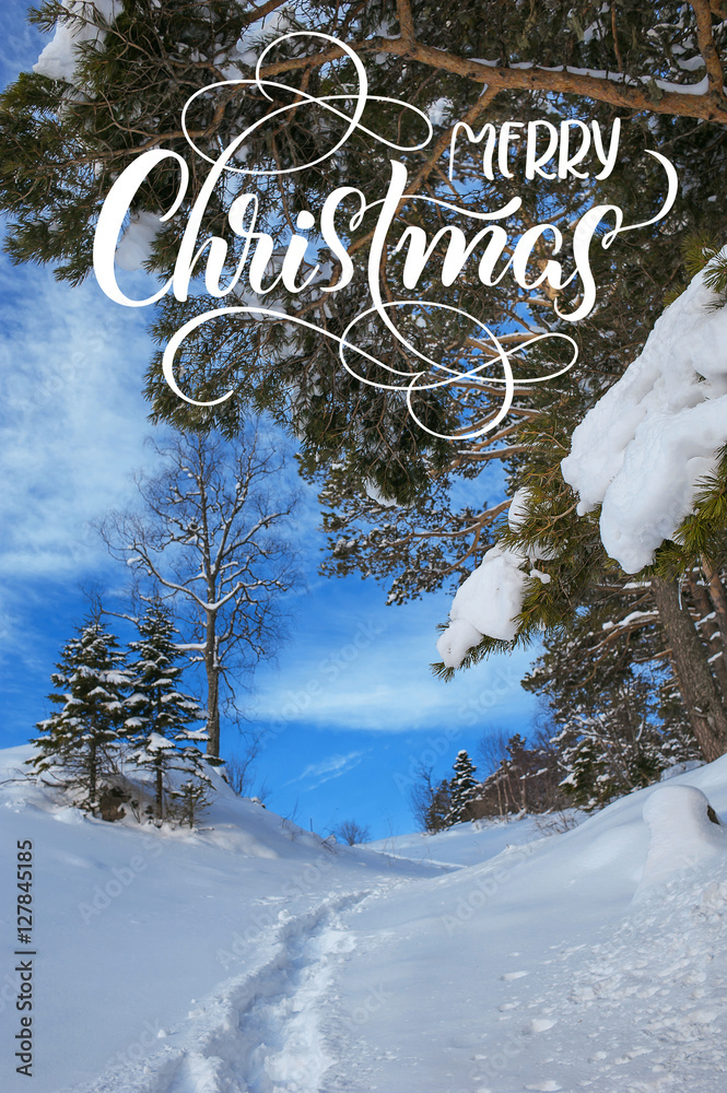 Winter landscape with fresh snow in a mountain forest and text Merry ...