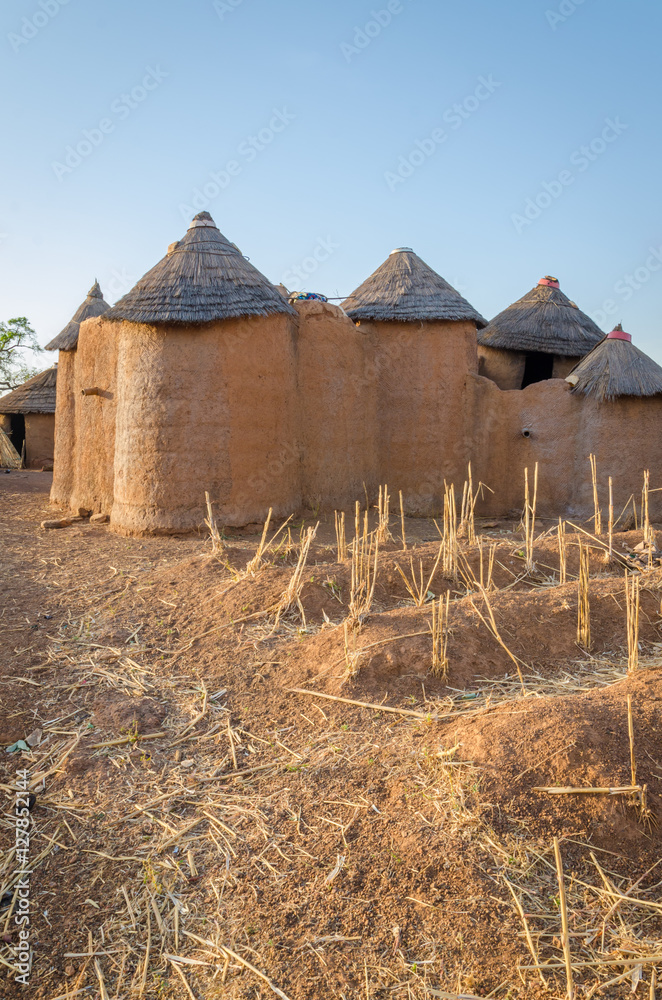 Traditional mud an clay housing of the Tata Somba tribe of nothern ...
