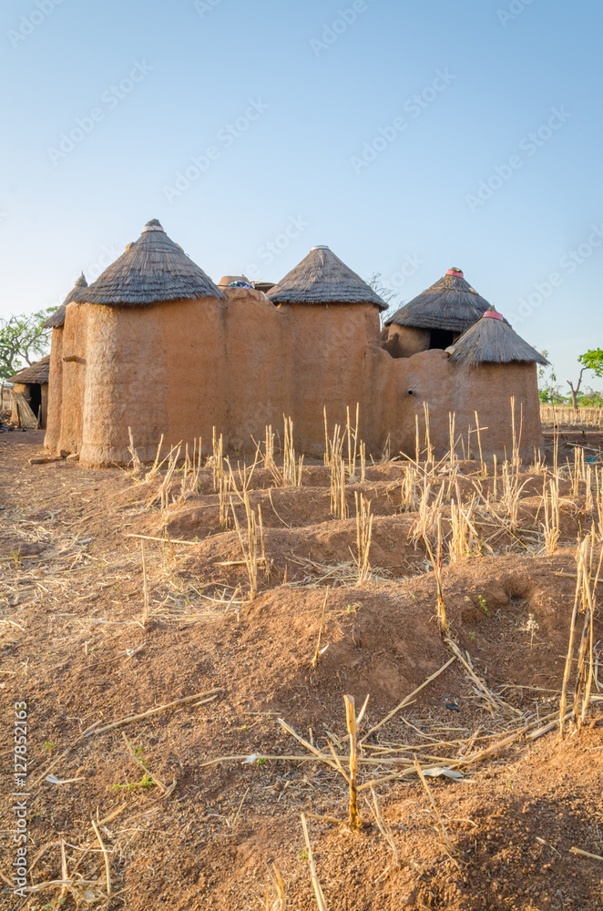 Traditional mud an clay housing of the Tata Somba tribe of nothern ...