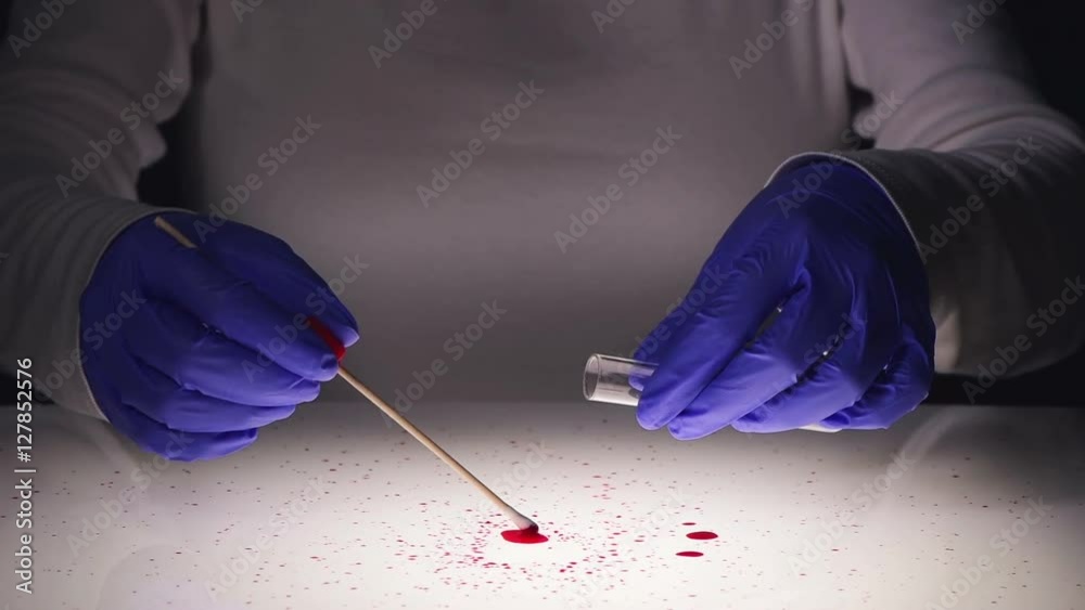 Forensic technician taking DNA sample from blood stain with cotton swab ...