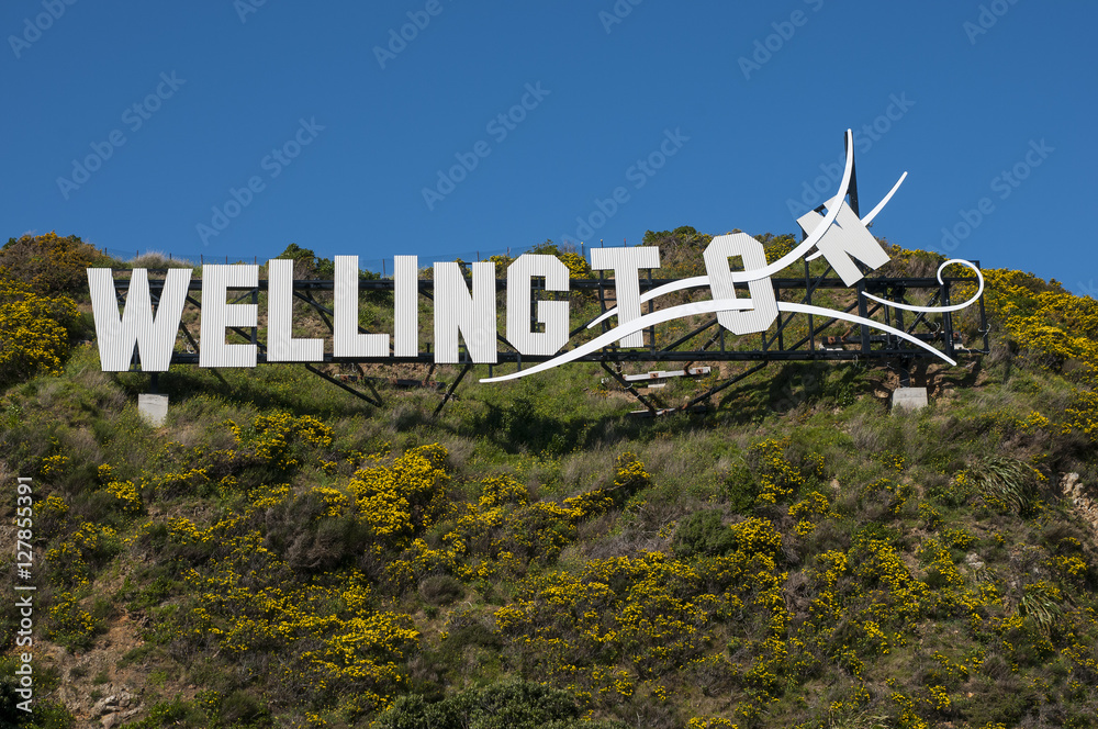 The Wellington sign seen on the hills at Mirarmar close to the airport ...