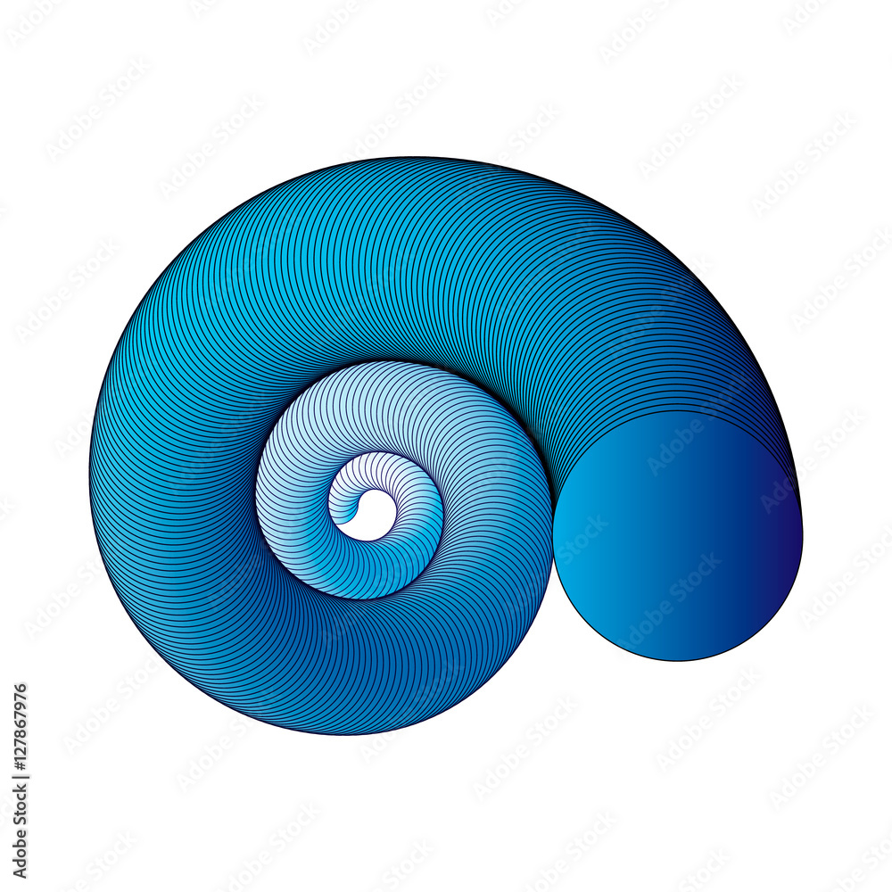 vector illustration spiral like shell or snail Stock Vector | Adobe Stock