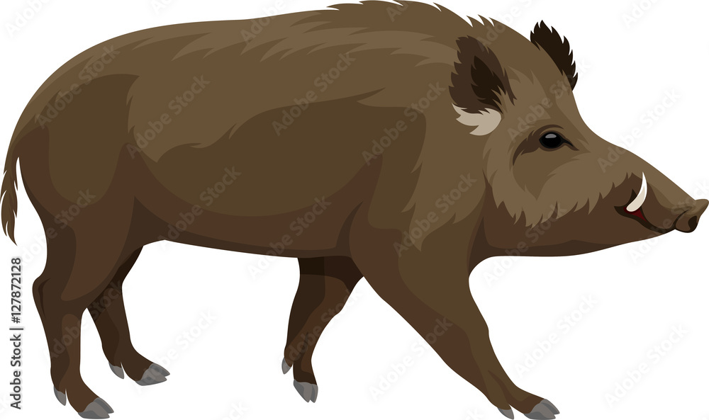 vector wild hog boar mascot Stock Vector | Adobe Stock
