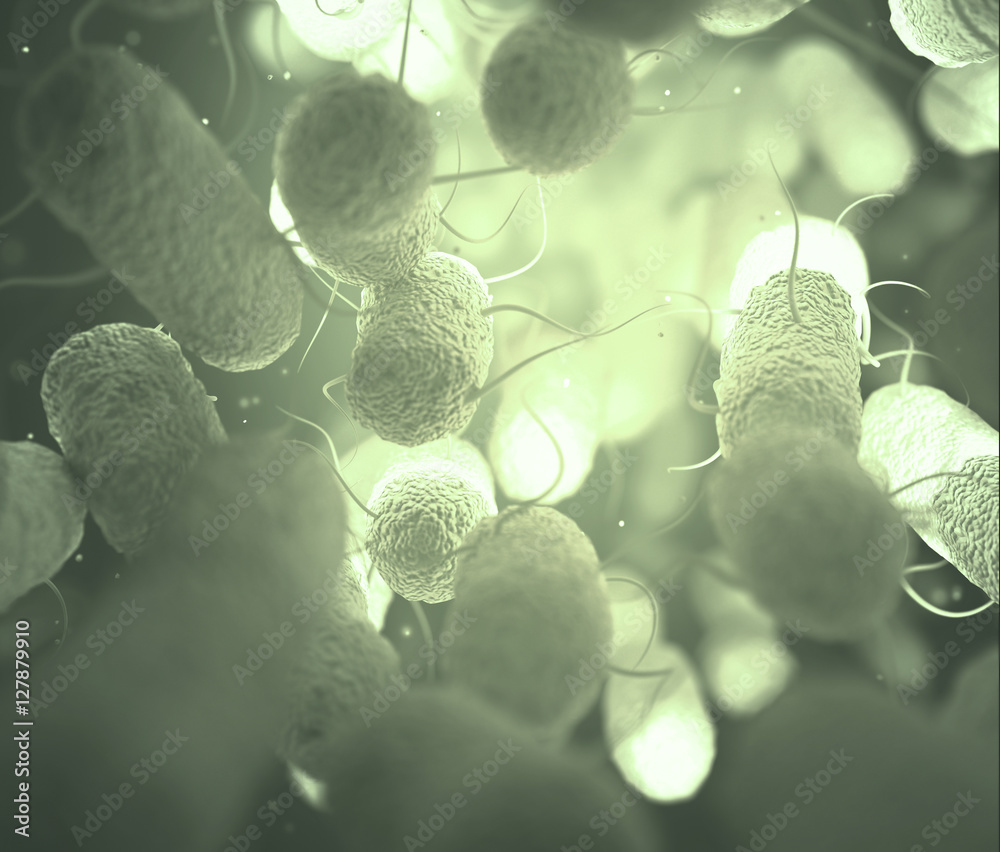 Enterobacteriaceae: large family of Gram-negative bacteria that ...