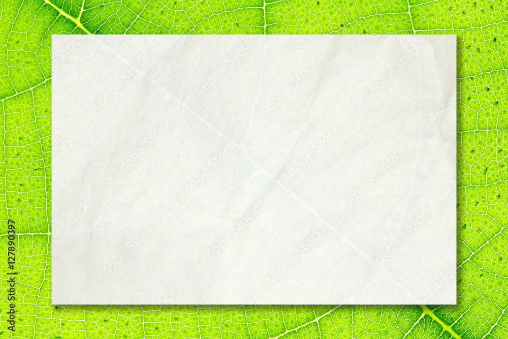 Paper background. Leaf background. Recycled crumpled white paper with ...