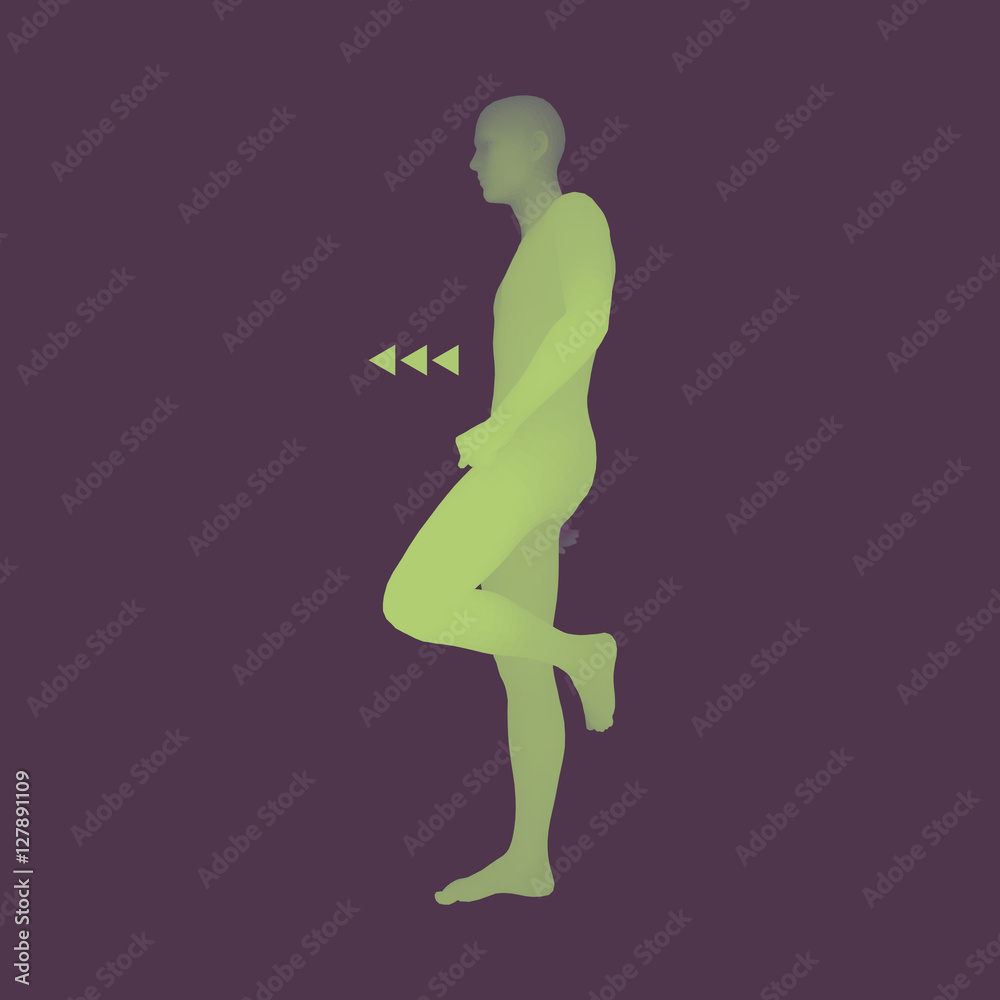 Standing Man. 3D Human Body Model. Design Element. Stock Vector | Adobe ...