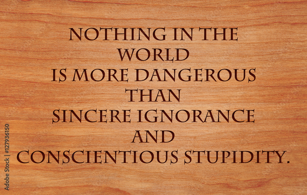 Nothing in the world is more dangerous than sincere ignorance and ...
