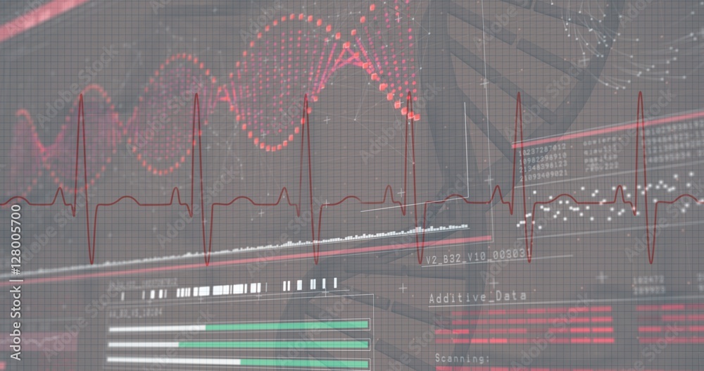 Helix diagram of DNA Stock Illustration | Adobe Stock