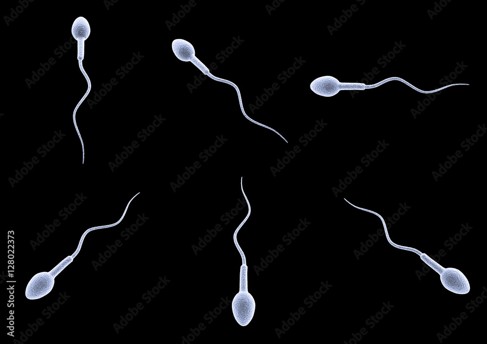 sperm cell isolated on black background. 3d rendered Sperm Cell ...