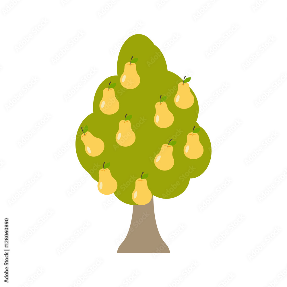 Pear tree isolated. Garden wood with pears on white background. Stock ...