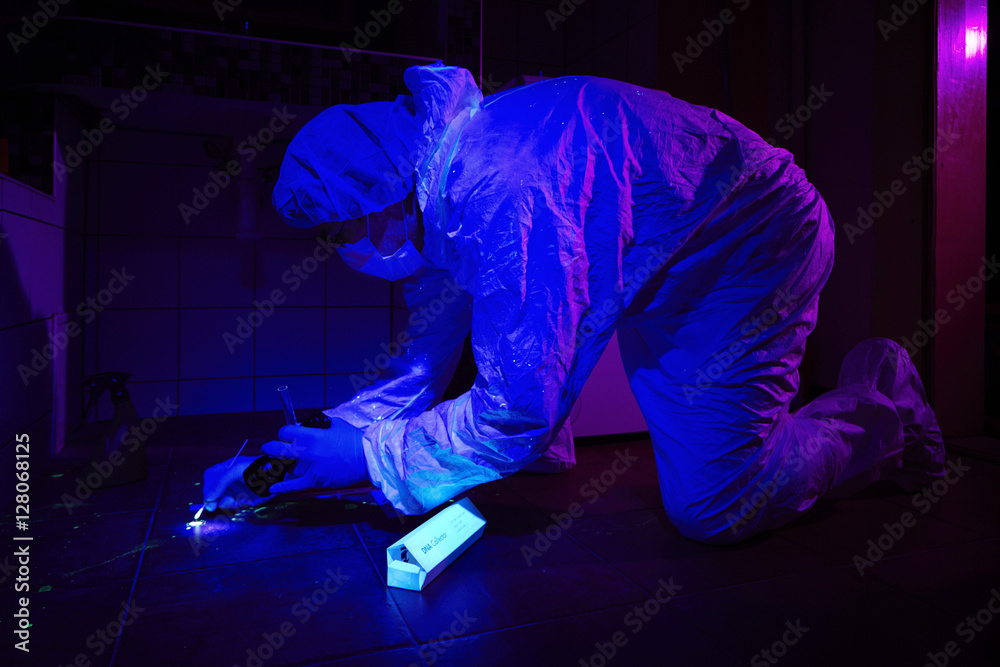 Criminologist collects DNA under UV light from blood stains Stock Photo ...