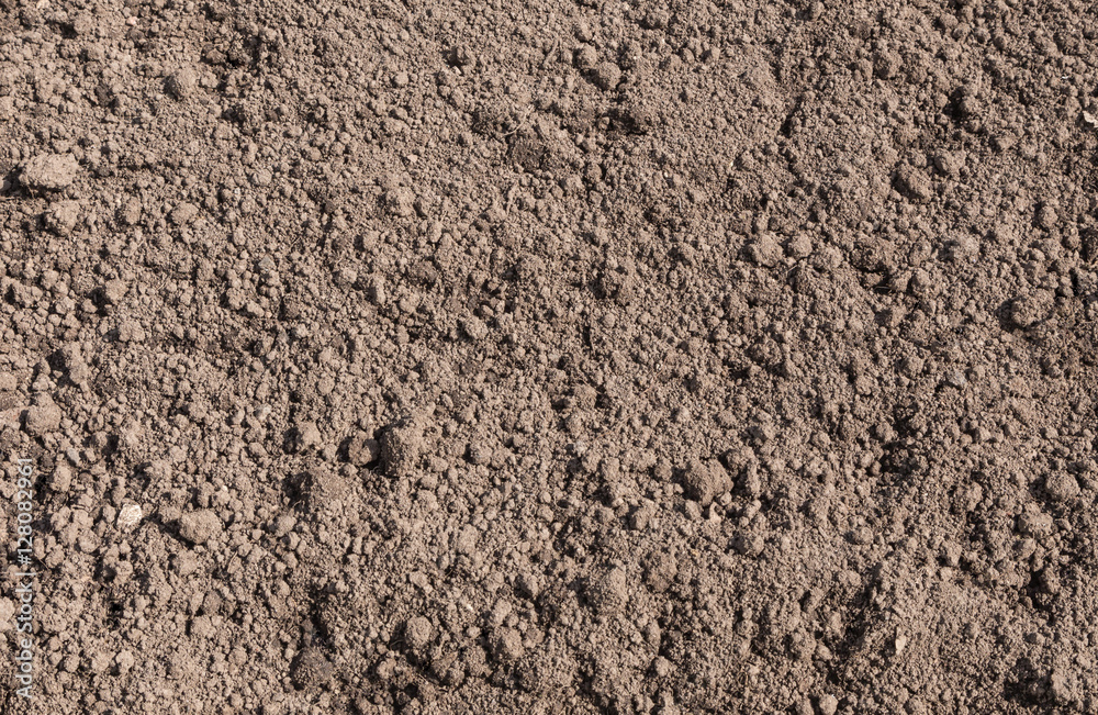 Brown soil texture with small lumps Stock Photo | Adobe Stock
