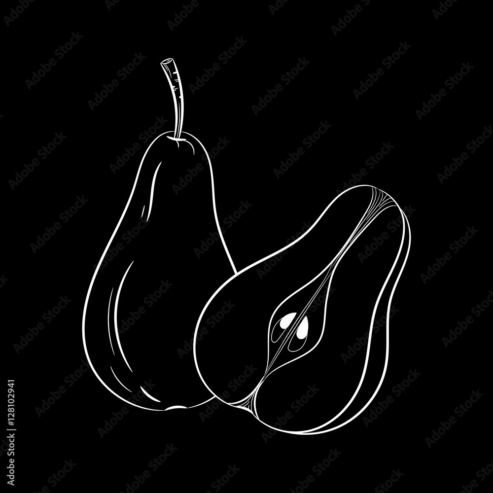 Hand drawn pear sketch. Vector illustration Stock Vector | Adobe Stock