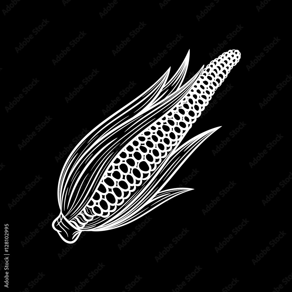 Hand drawn corn sketch. Vector illustration Stock Vector | Adobe Stock