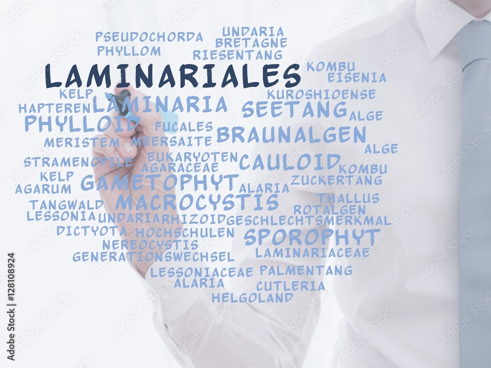 Laminariales Stock Illustration | Adobe Stock