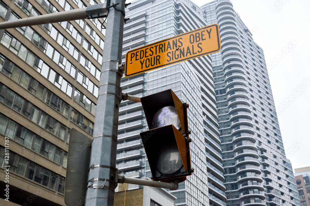 Traffic light in Toronto downtown, Canada. Pedestrians obey your ...