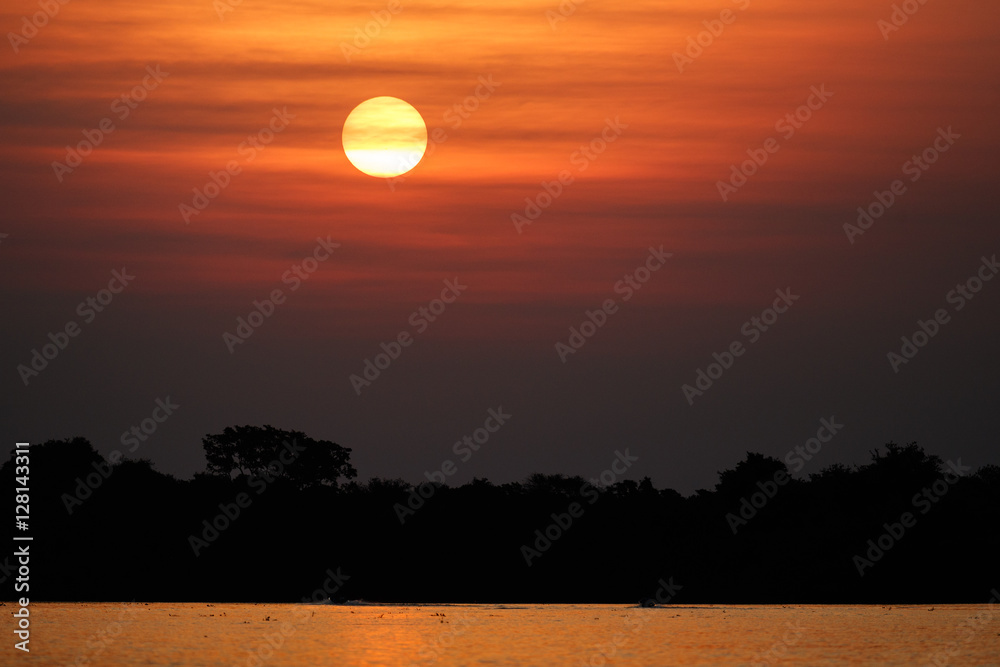 Beautiful sunset in northern Pantanal, wild brazil, brazilian wildlife ...