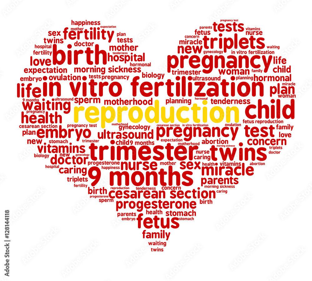 Reproduction. Word cloud, red heart, white background. The miracle of ...