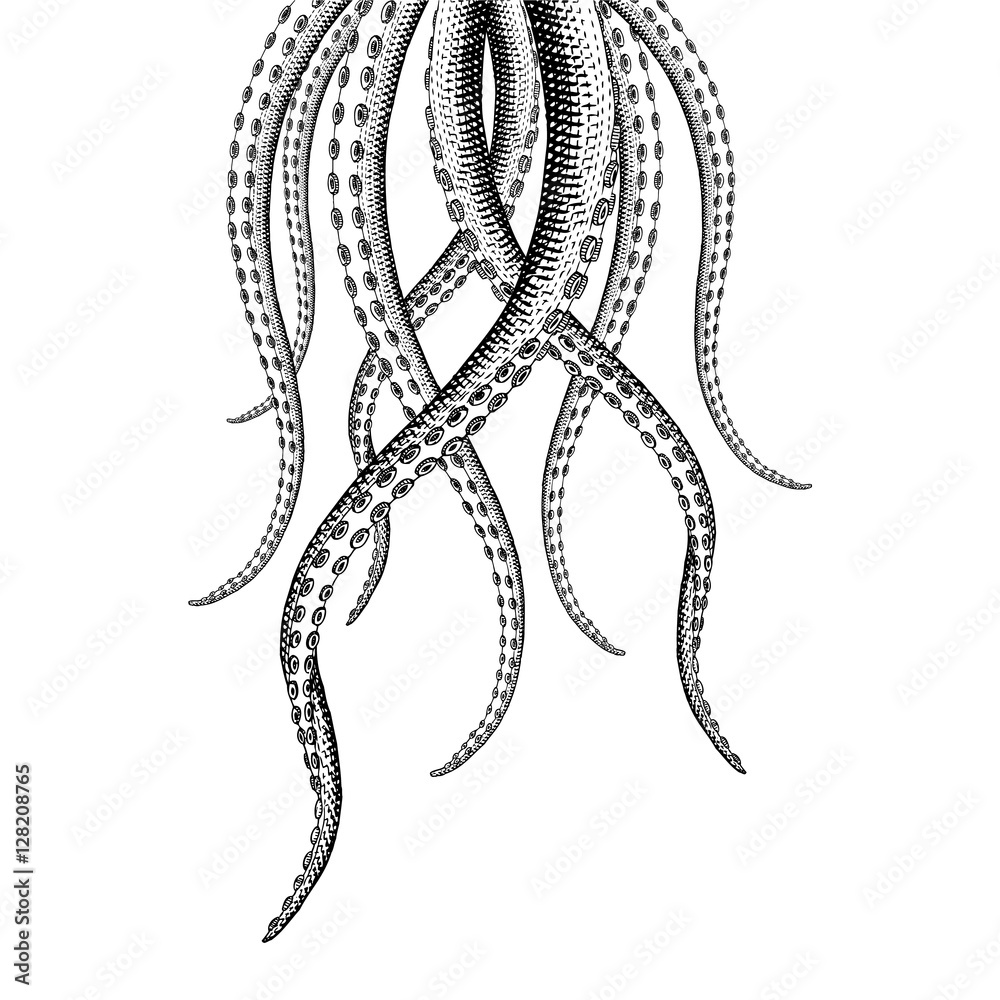 Tentacle Illustrations Stock Vector | Adobe Stock
