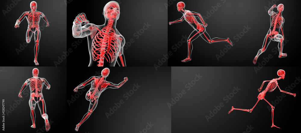3d render running human anatomy by X-rays Stock Illustration | Adobe Stock