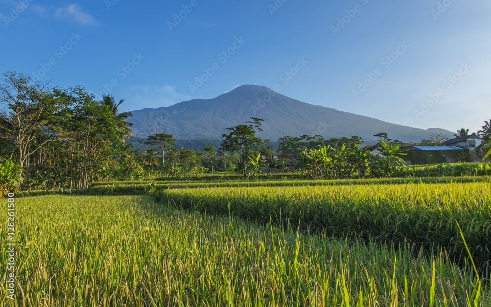 This is photo of Mt. Slamet, it's the highest mountain in central Java ...