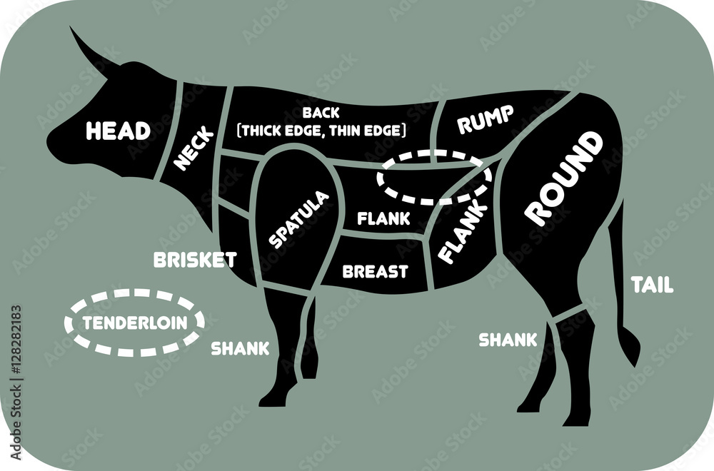Cuts of beef vector illustration. Poster Butcher Diagrams for butcher ...