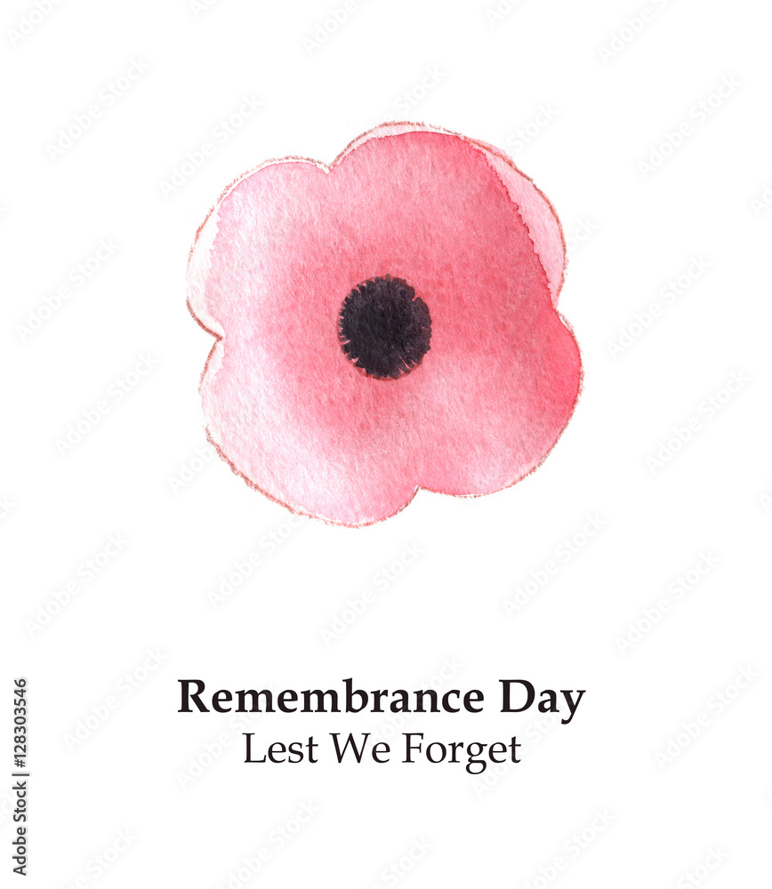 Watercolor poppy flower, Remembrance Day white background Stock ...